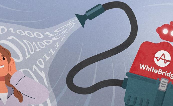 Whitebridge.ai: your personal data is for sale to you and anyone - News - Privacy Guides Community